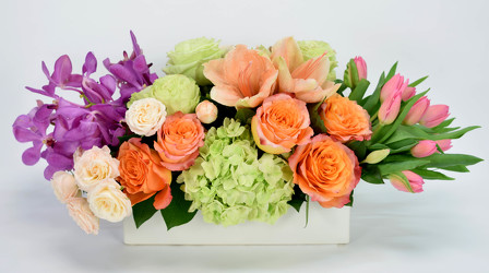 Dallas Florist - Best Dallas Flower Delivery by Mockingbird Florist
