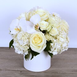 Dallas Florist - Best Flower Delivery by Mockingbird Florist